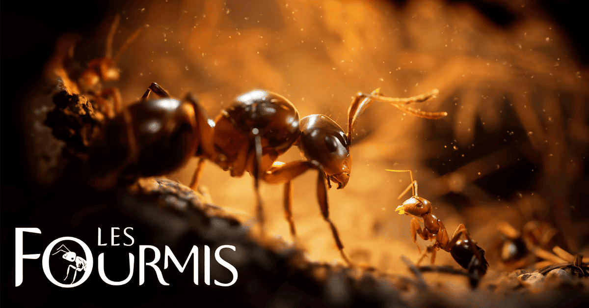 Le paysage sonore d'Empire of the Ants : Sons immersifs et mélodies ...